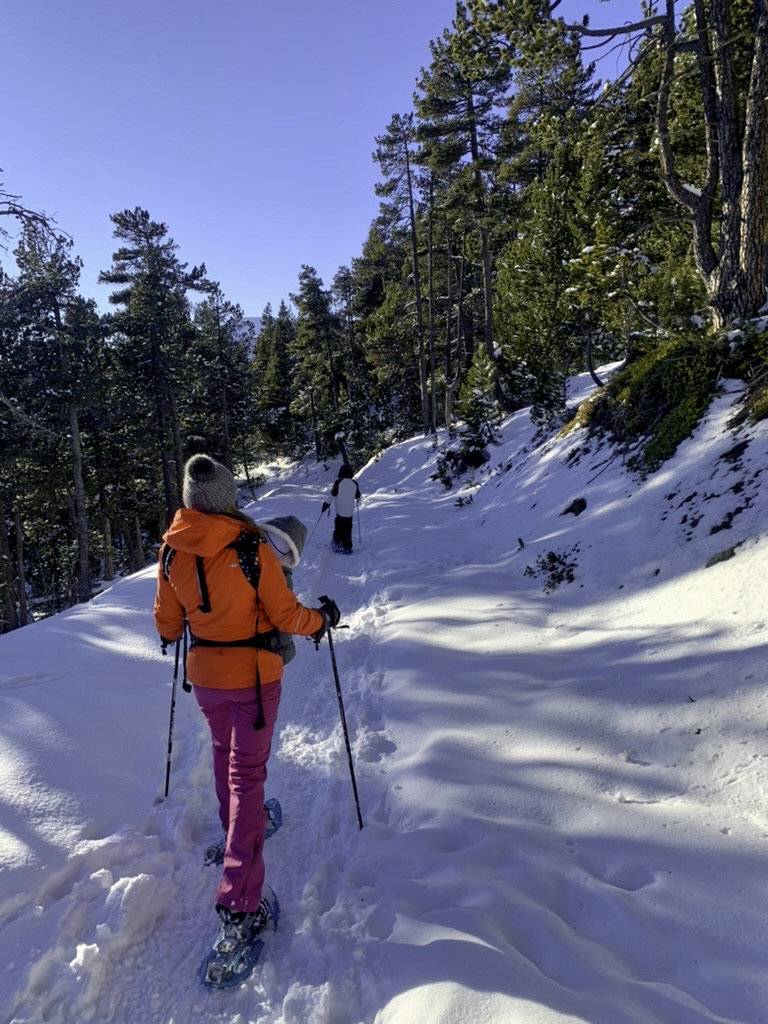 8 Tips To Start Winter Hiking with Kids